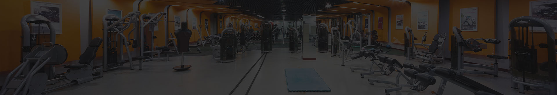 inner – Scott’s Training Systems